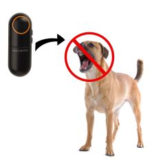 Sporty's Tool Shop - Home Page