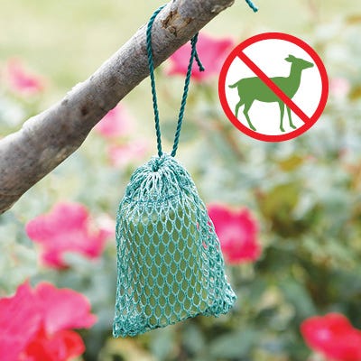 Sporty's Tool Shop - Home Page